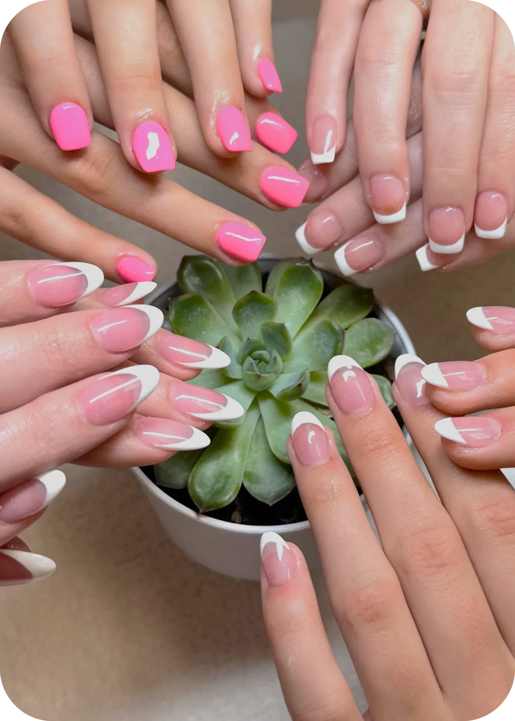 Solar Nails | Premier Nail Salon in Sylva, NC | Manicures, Pedicures ...